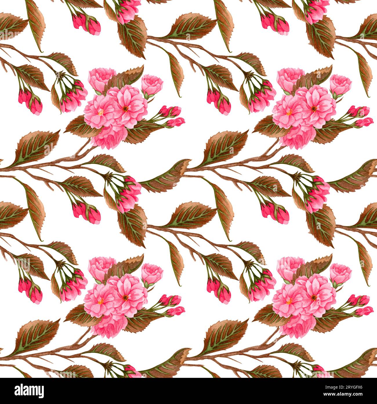 Watercolor cherry blossom, pink flowers and brown leaves. Floral ...