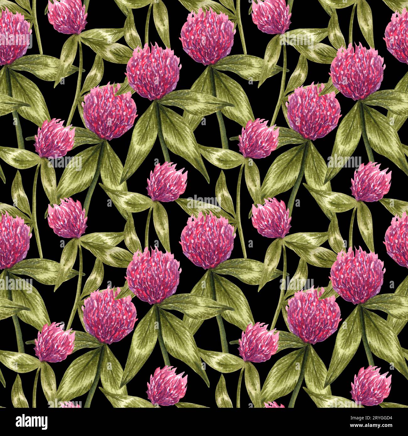 Watercolor pink clover seamless pattern. Botanical hand drawn ...