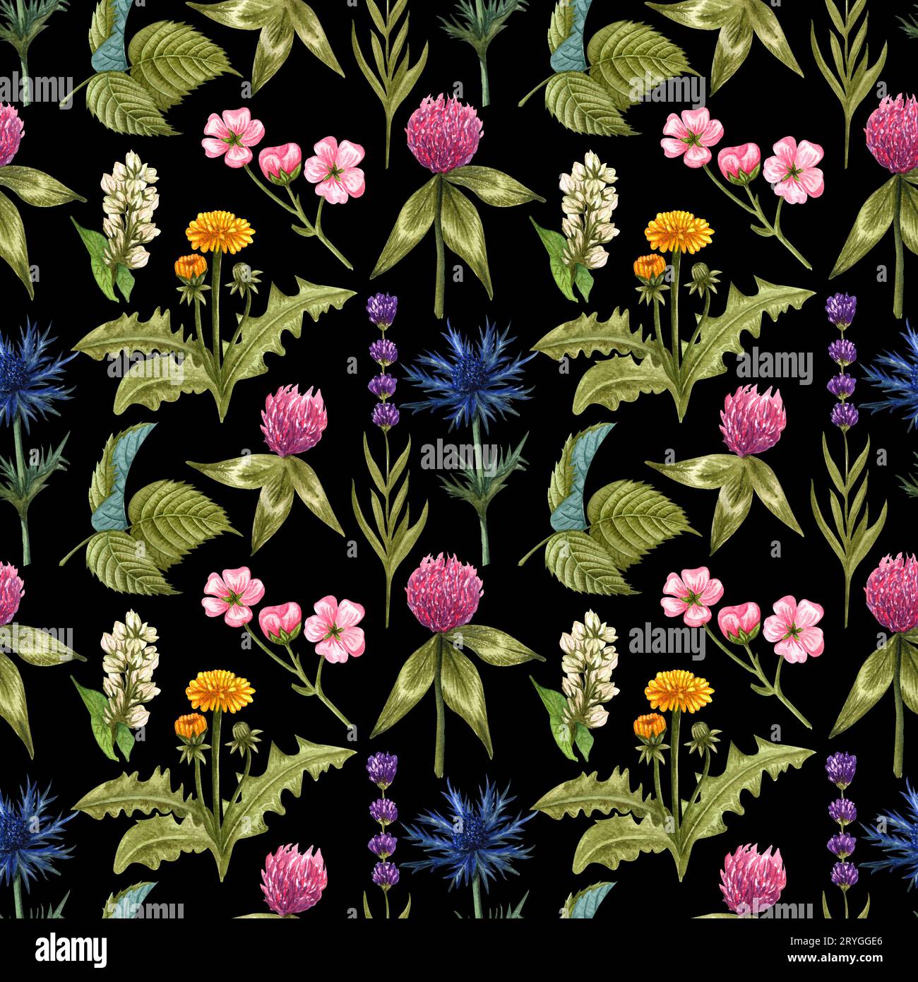 Watercolor wildflowers seamless pattern with the different meadow ...