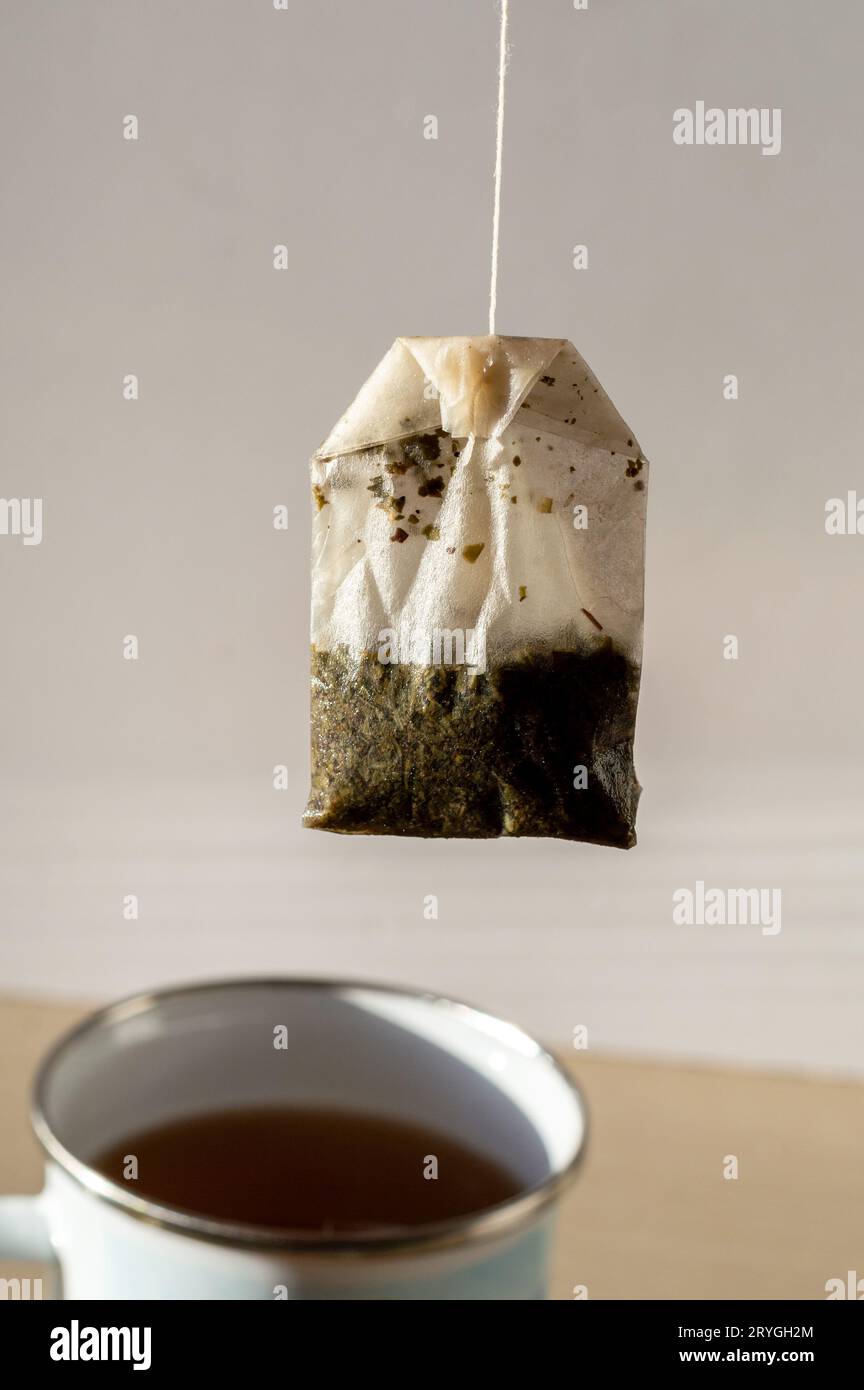 wet green tea filter hanging Stock Photo - Alamy