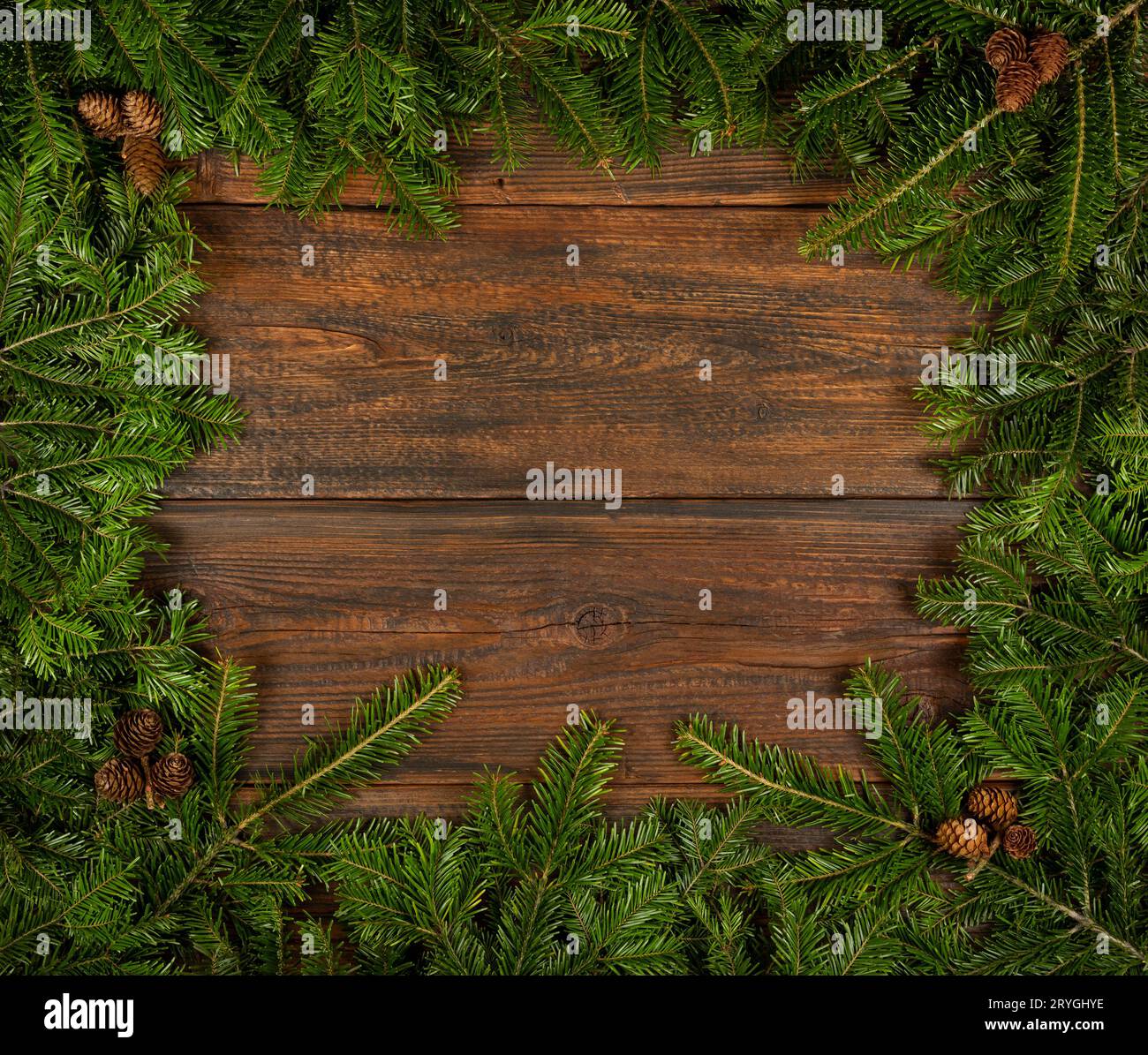 Tree wood up close hi-res stock photography and images - Alamy