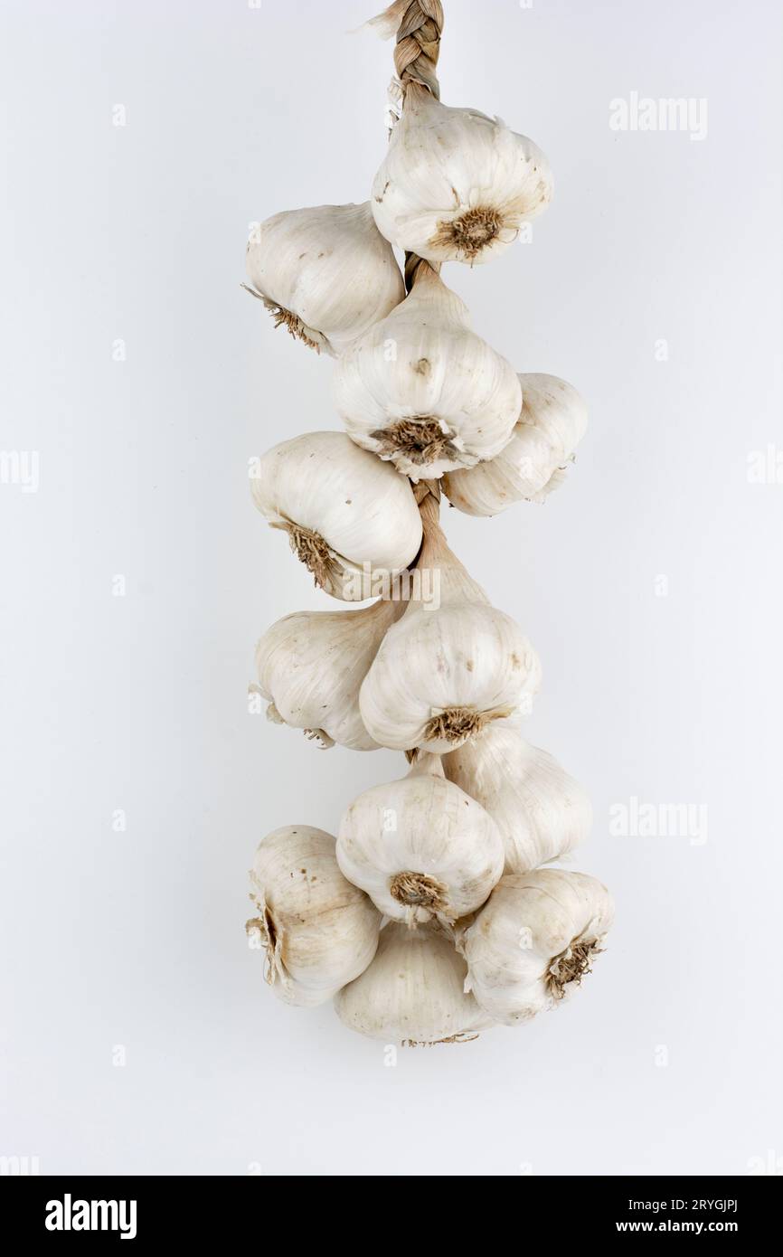 Organic garlic wreath on white background Stock Photo - Alamy