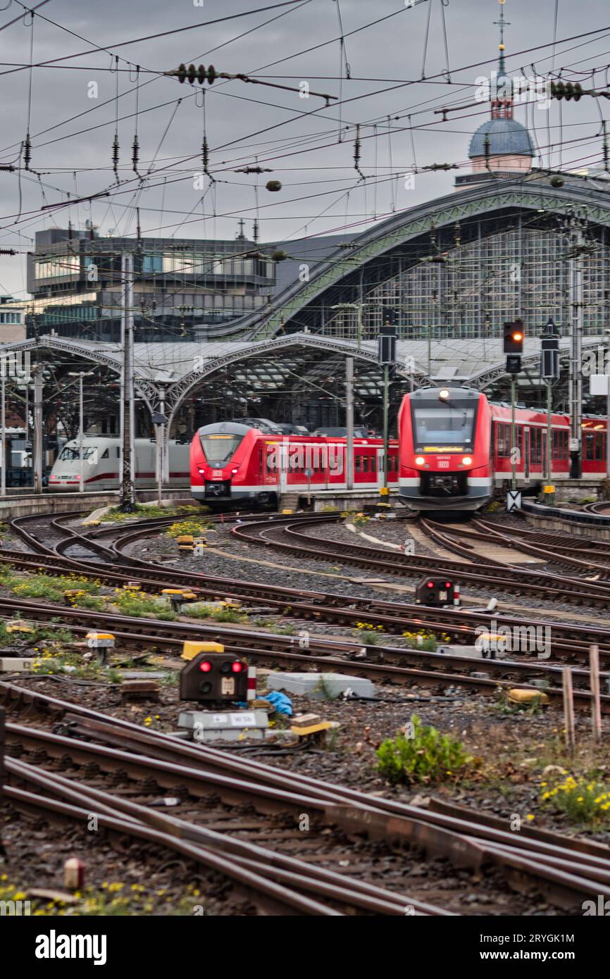 Red regional trains of the Deutsche Bahn at the main station in Cologne ...