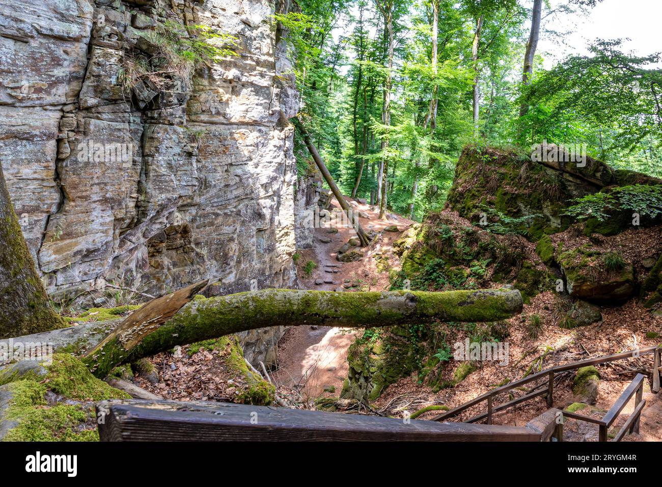 Slopes of rock formations, fallen log on hiking trails, stones covered ...