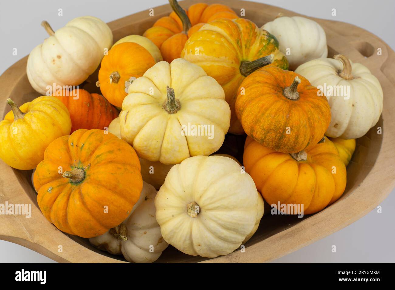 Organic decorative dwarf pumpkins in a wooden trough isolated on white ...