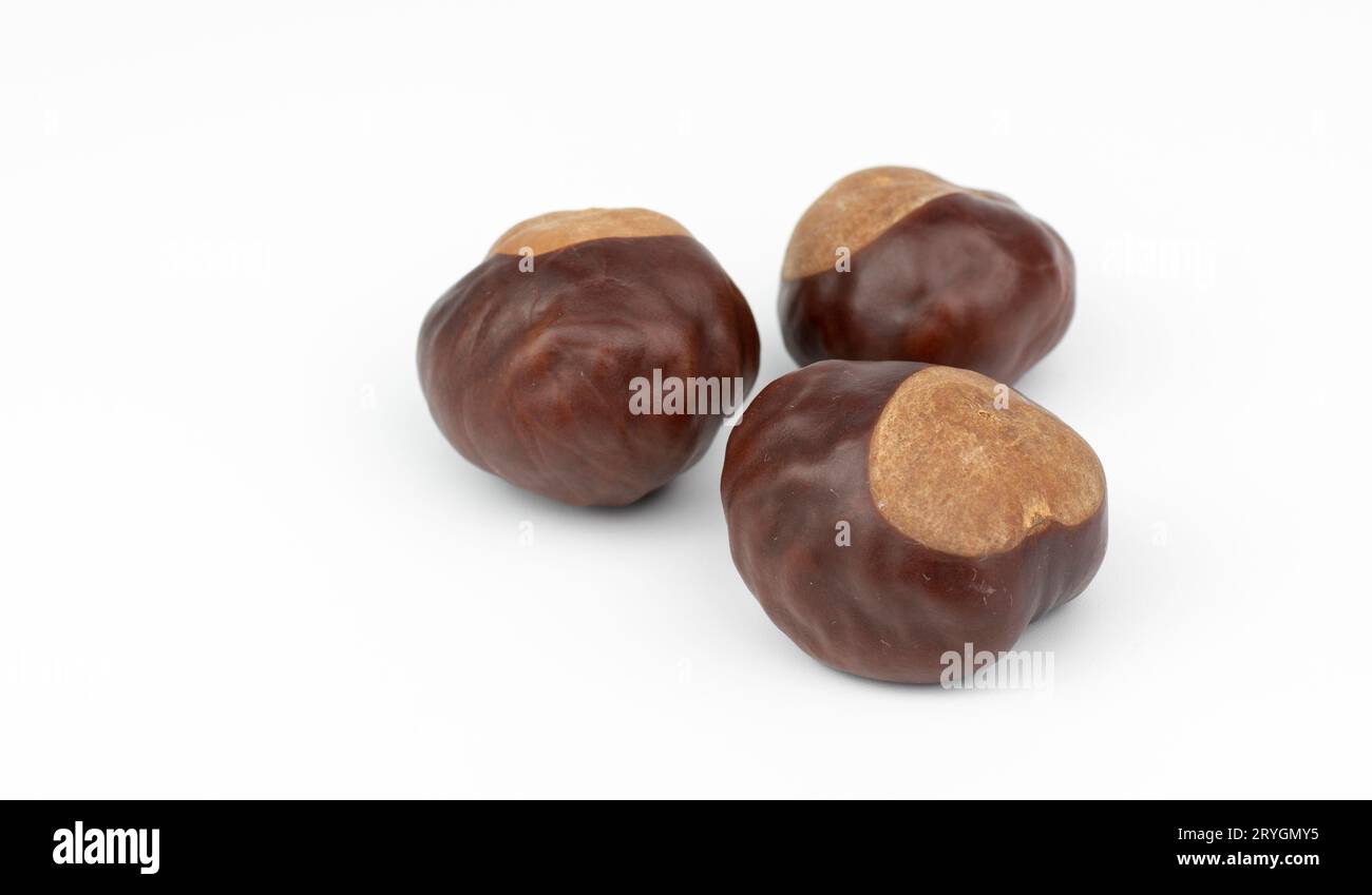 Chestnuts isolated on white background Stock Photo - Alamy