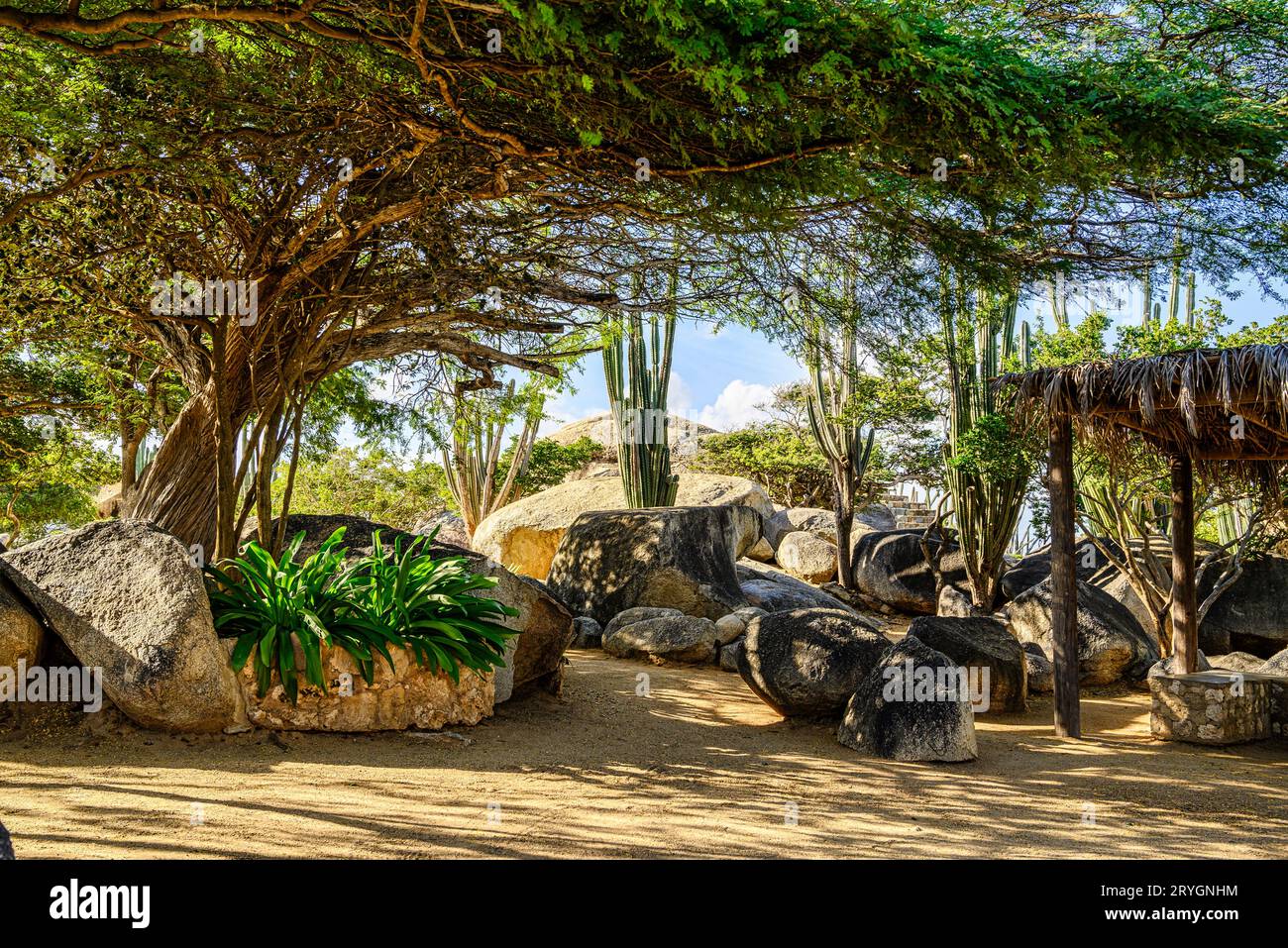 A park on the Caribbean island of Aruba at the Casibari Rock Formations ...