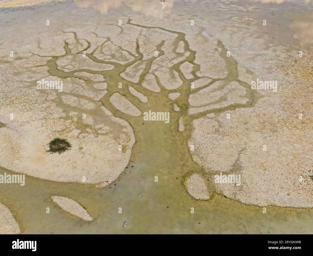 The effect of the lake drying up in the summer season of extreme ...