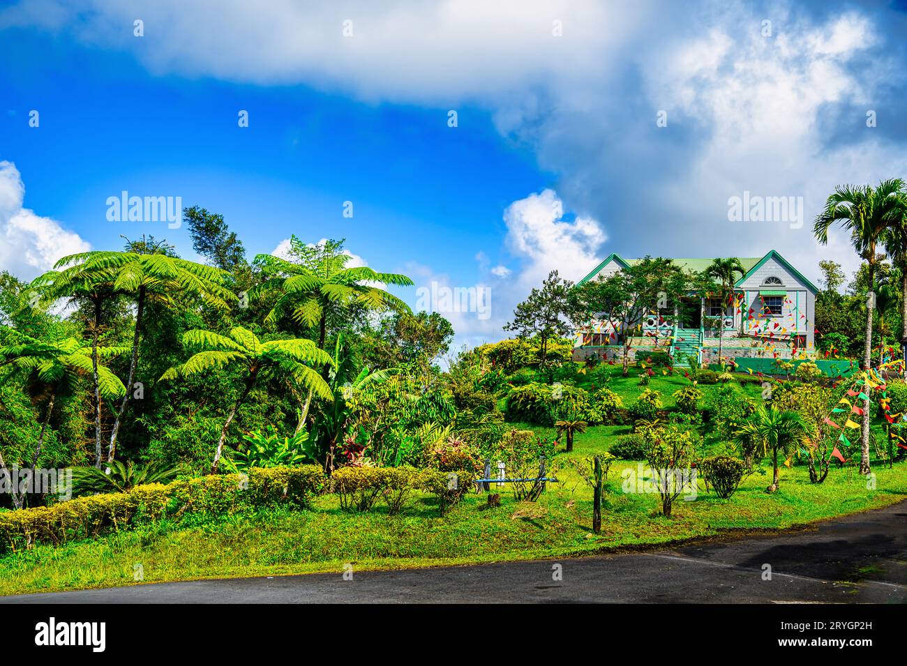 The Grand Etang National Park is a nature reserve in Grenada Stock ...