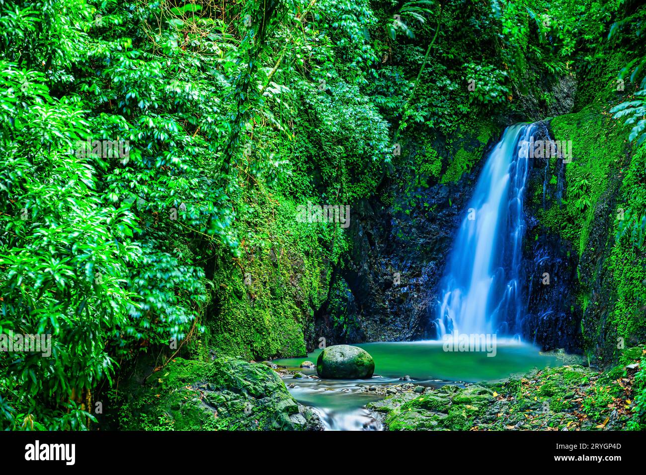 A view of Seven Sisters Waterfalls on Grenada Stock Photo - Alamy