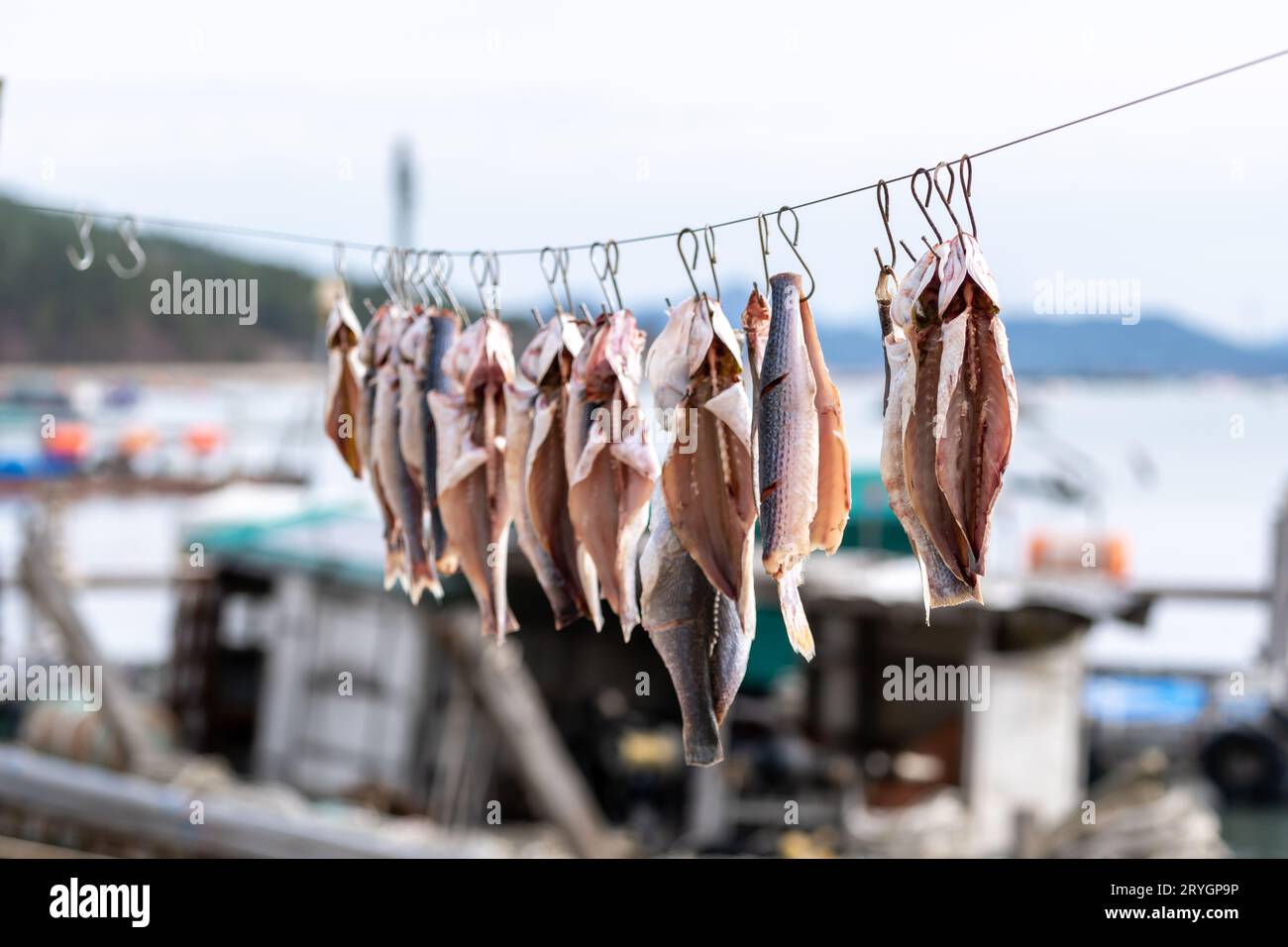 Sinan fish hi-res stock photography and images - Alamy