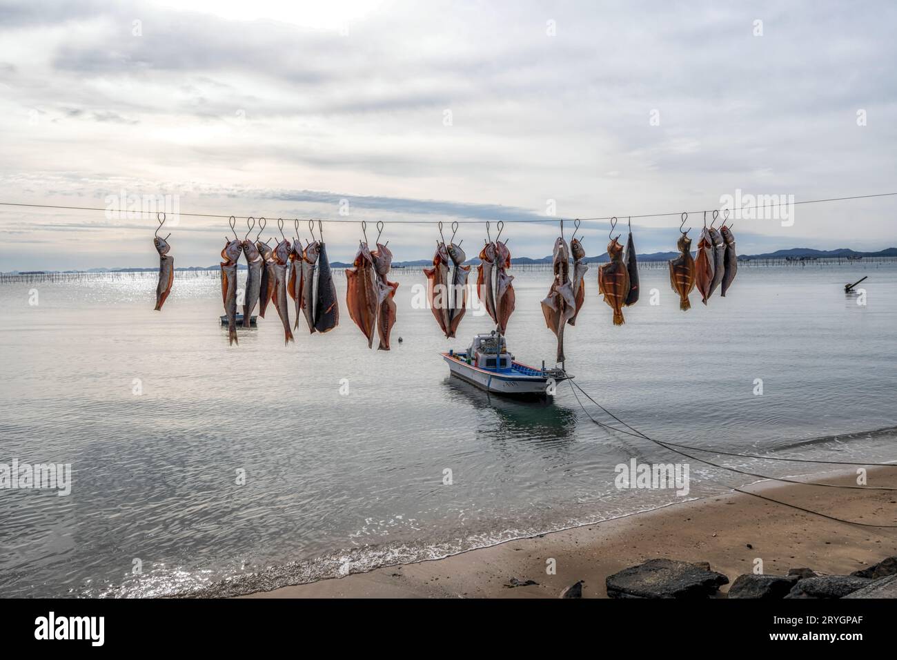 Dried fish hanging Stock Photo - Alamy