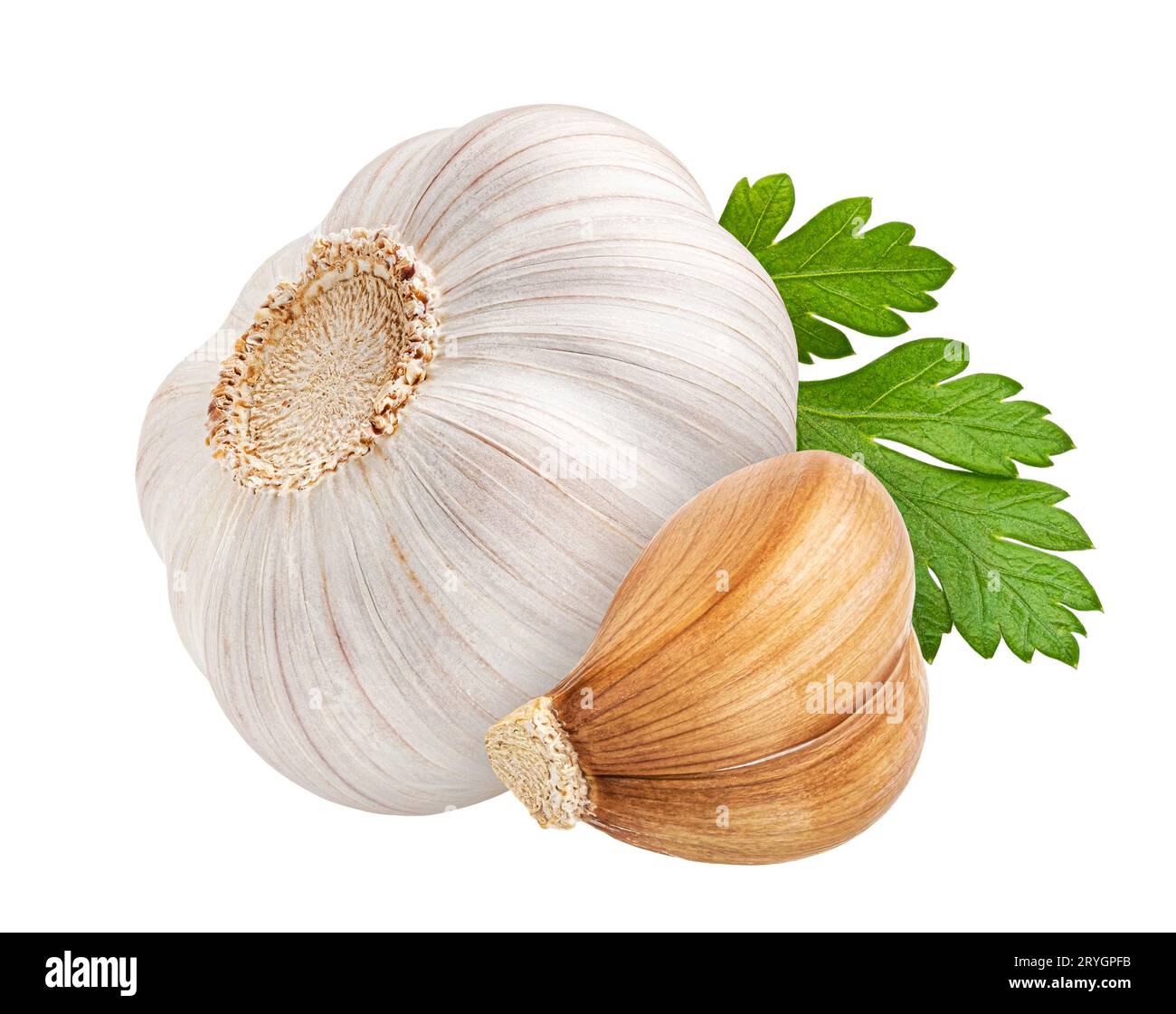 Garlic isolated on white background with clipping path Stock Photo - Alamy