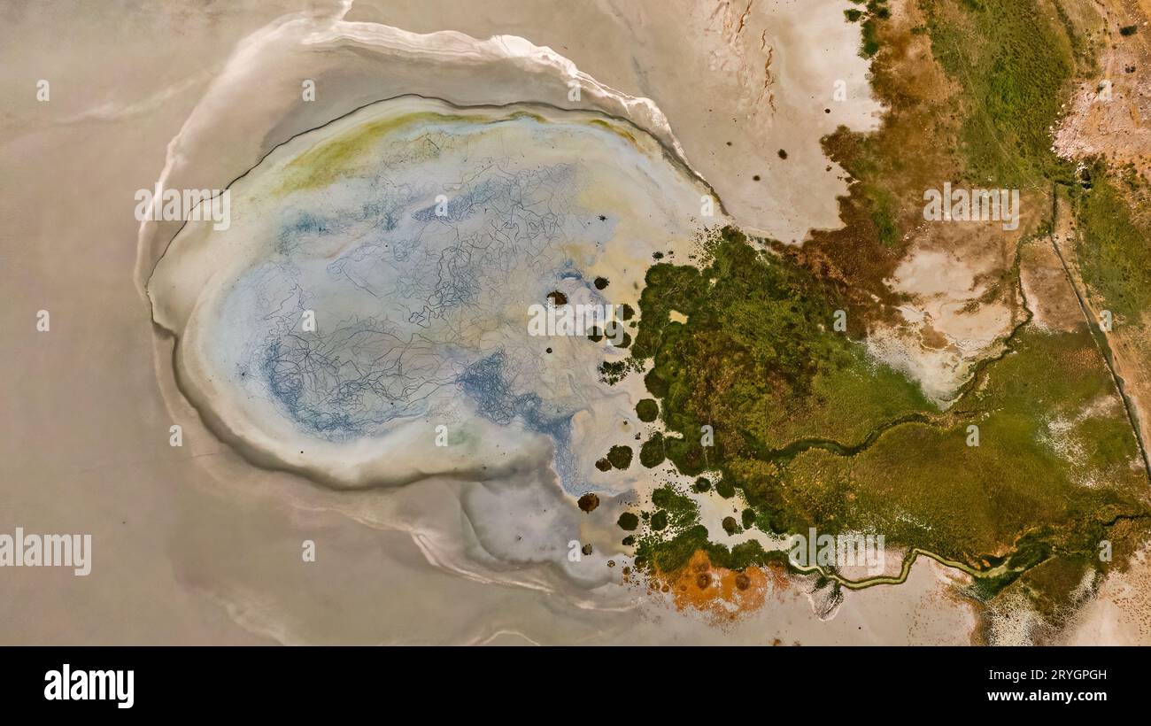 The effect of the lake drying up in the summer season of extreme ...