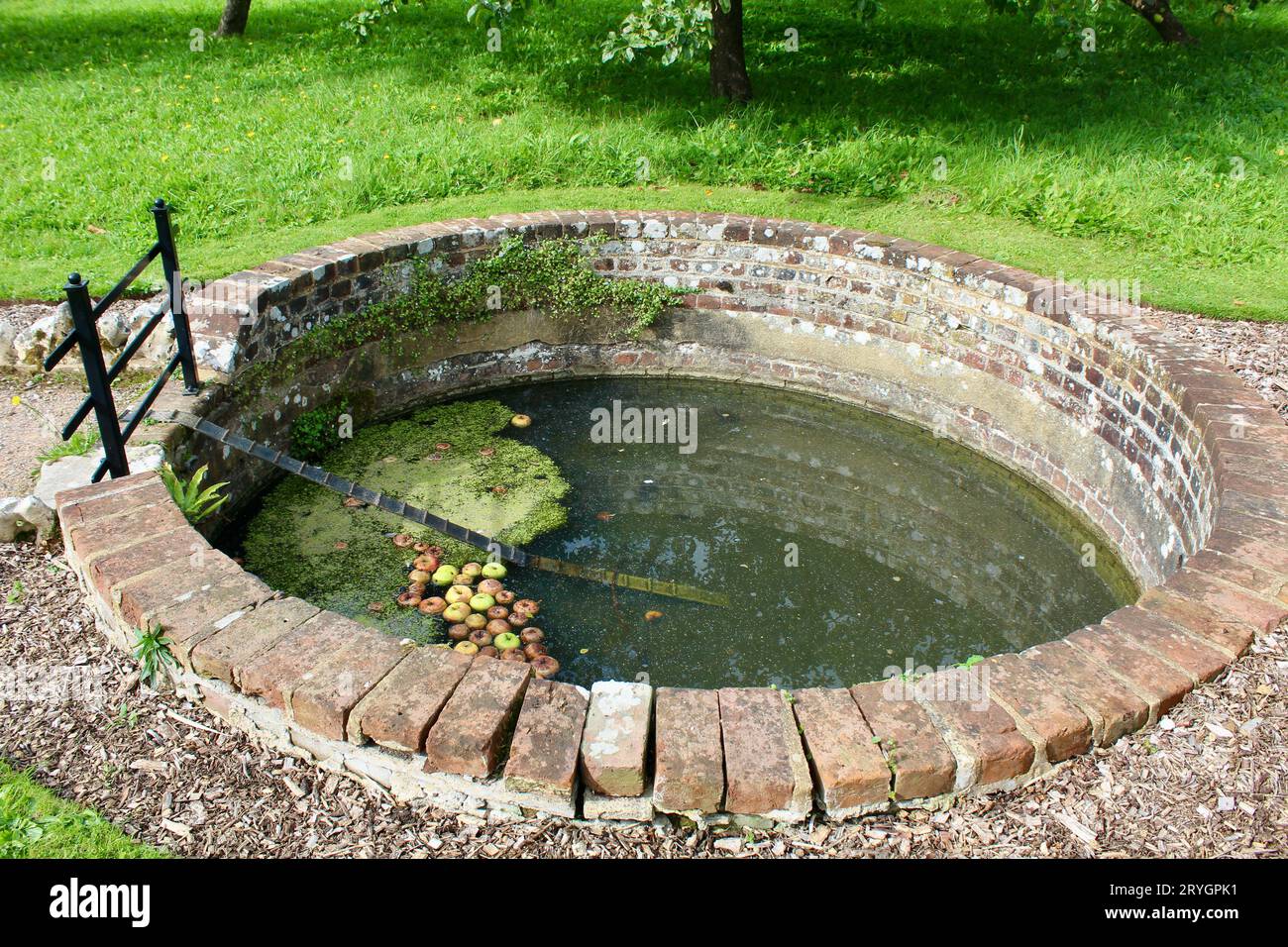 Pond with Hedgehog Escape Route - West Dean Gardens - West Sussex ...