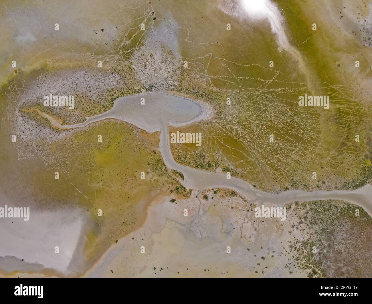 The effect of the lake drying up in the summer season of extreme ...