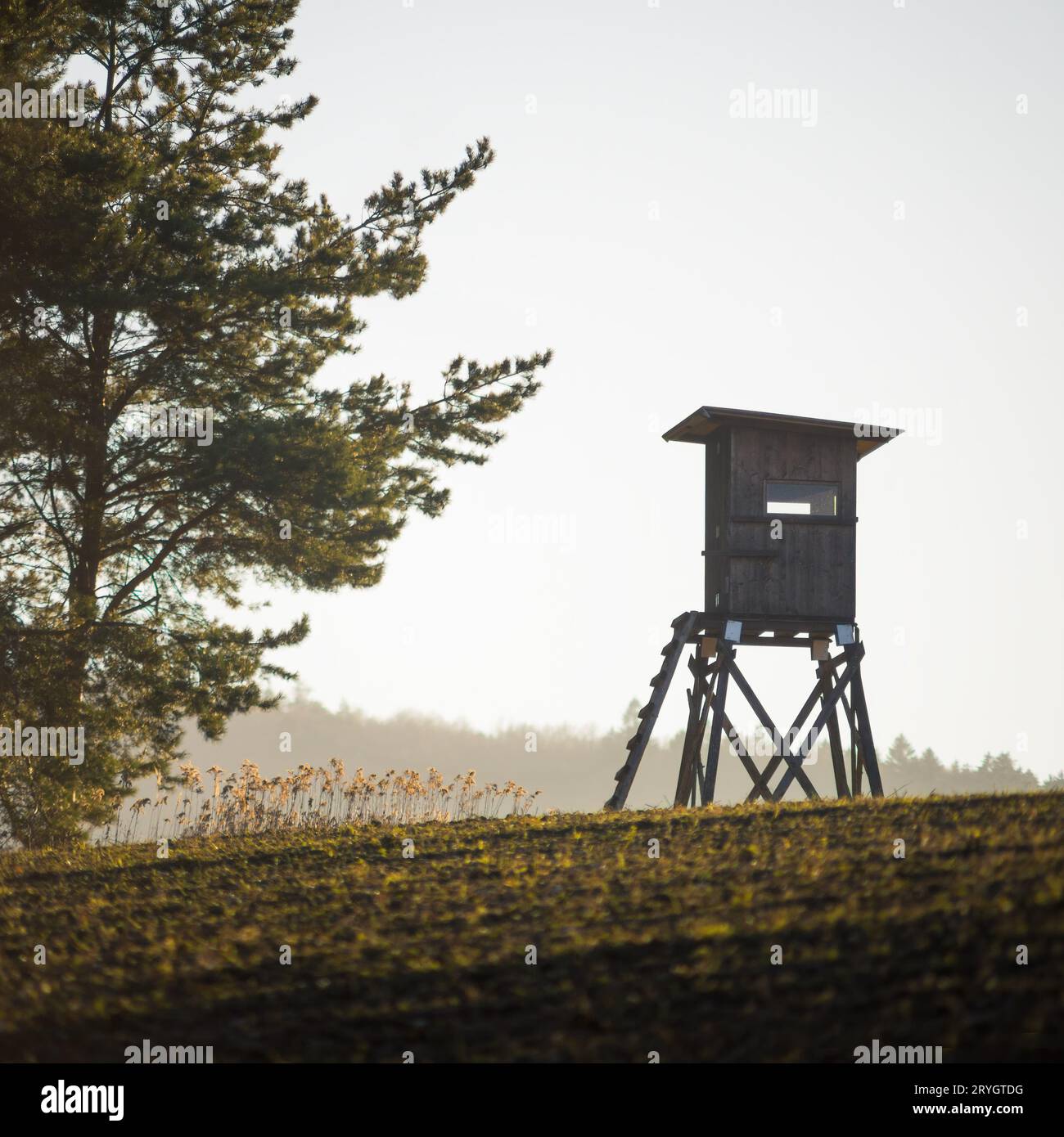 Hunting tower tree hi-res stock photography and images - Alamy