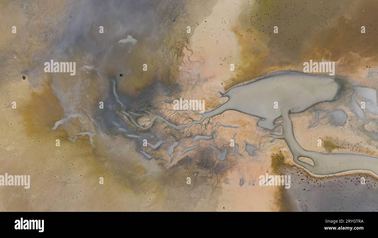 The effect of the lake drying up in the summer season of extreme ...