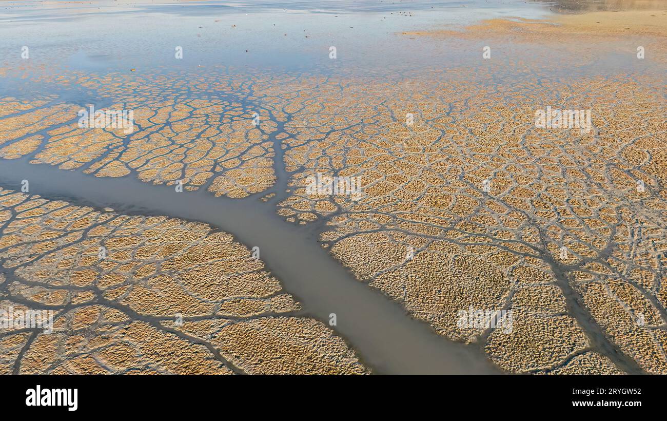 The effect of the lake drying up in the summer season of extreme ...