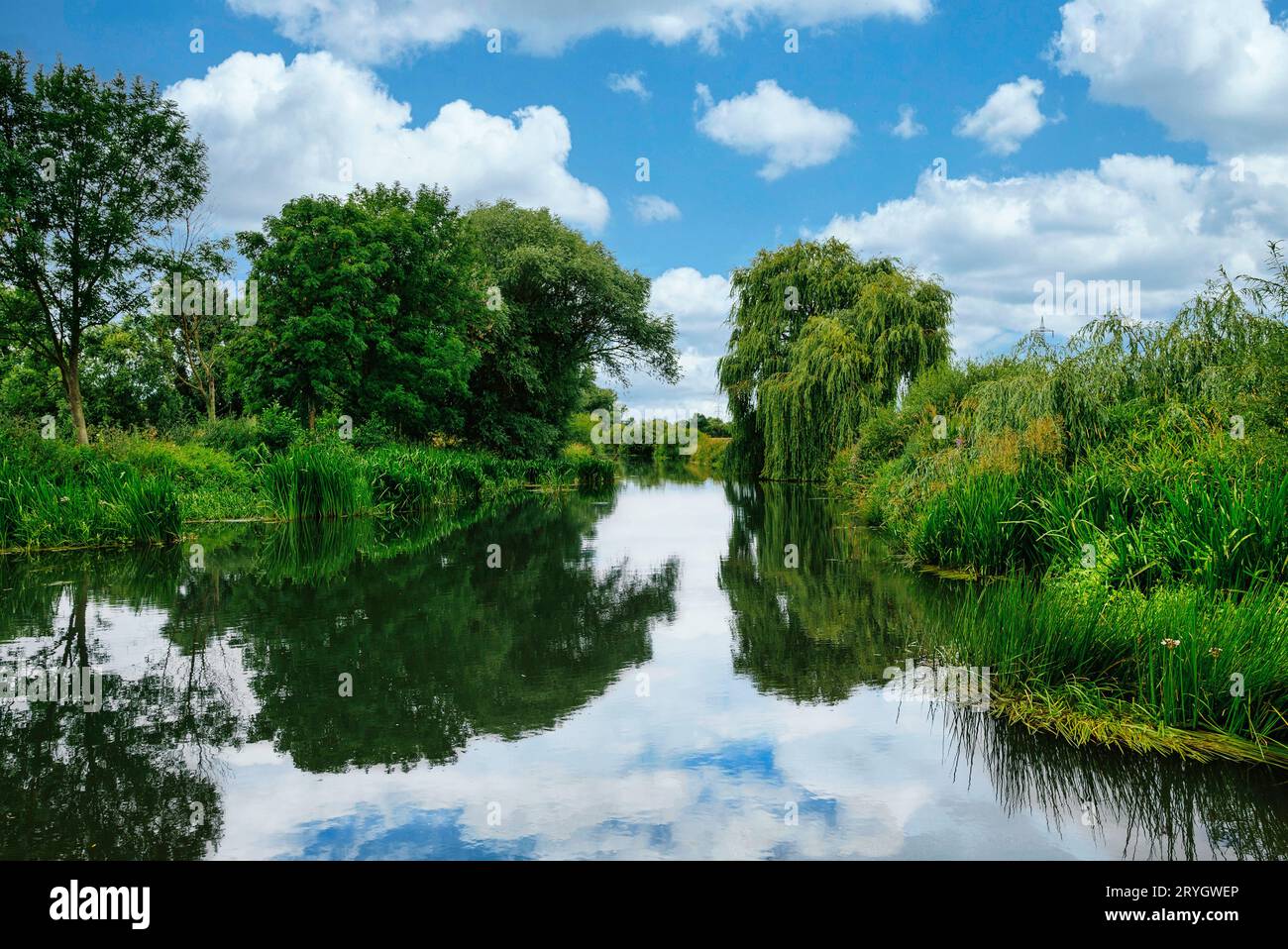 River with beautiful scenery Stock Photo - Alamy