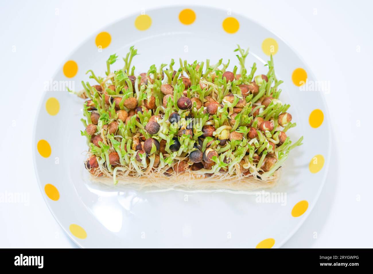 Image of fresh broccoli sprouts Stock Photo - Alamy