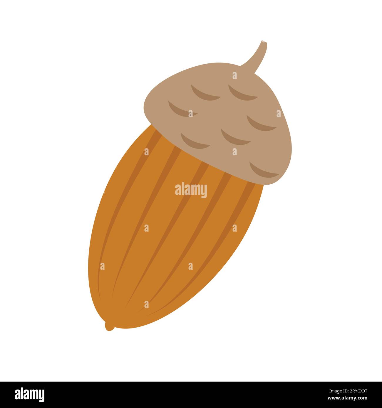 Cartoon brown acorn element. Autumn symbol. Stock vector illustration Isolated on white ...