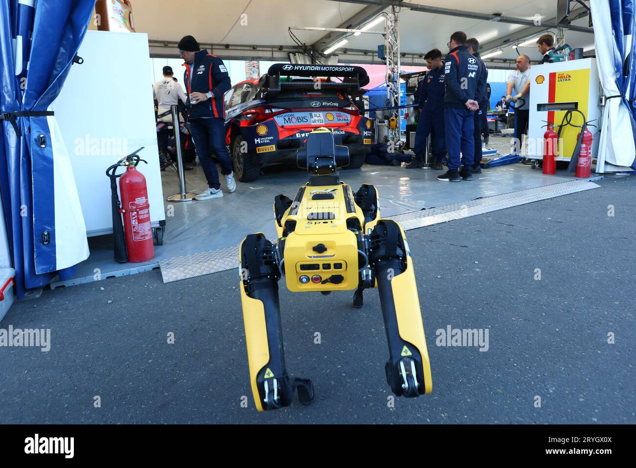 Robot spot at the HYUNDAI SHELL MOBIS WORLD RALLY TEAM, HYUNDAI I20 N ...
