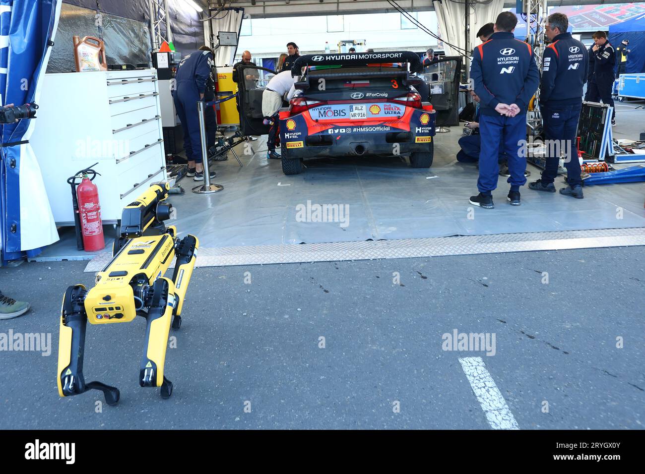 Robot spot at the HYUNDAI SHELL MOBIS WORLD RALLY TEAM, HYUNDAI I20 N ...