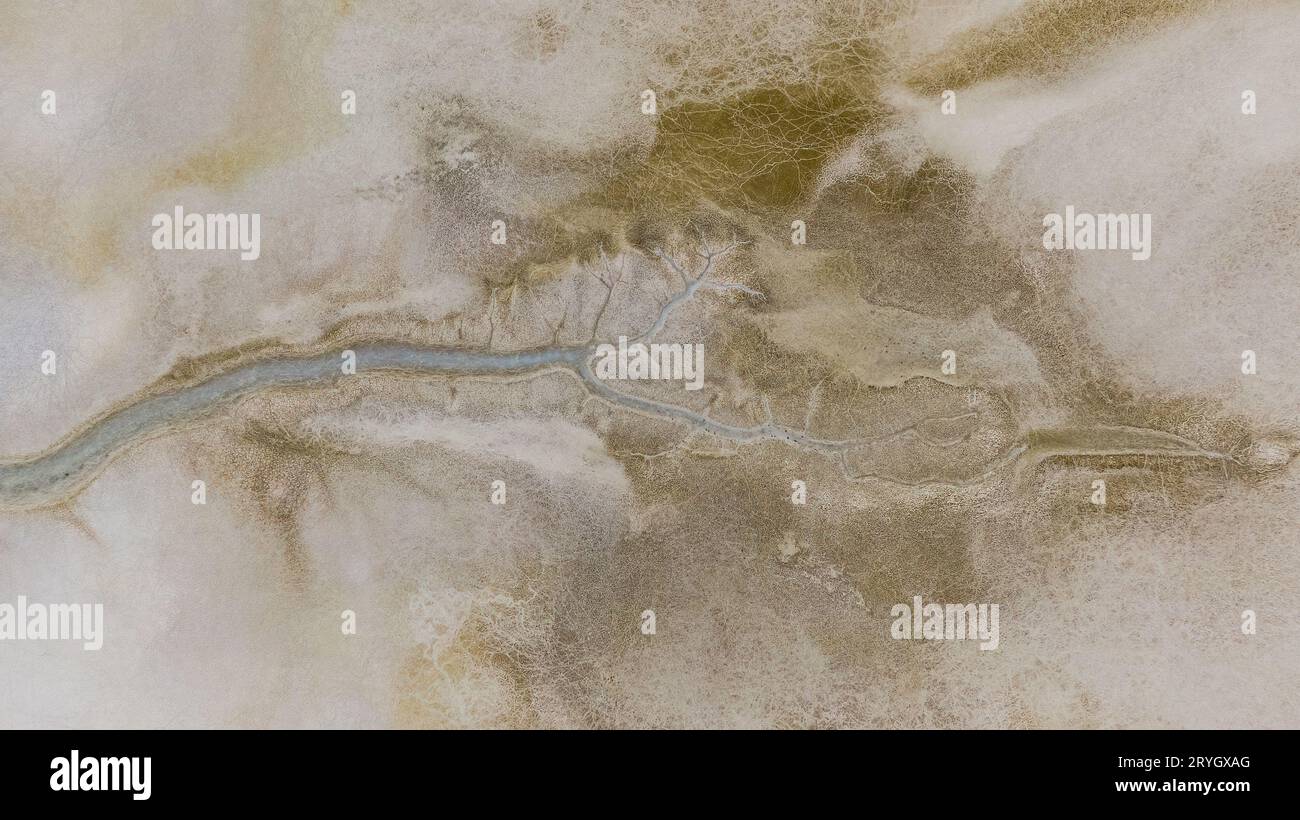 The effect of the lake drying up in the summer season of extreme ...