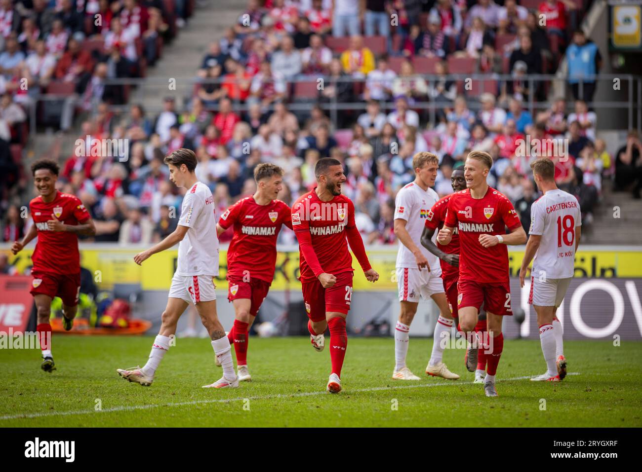 Cologne, Germany. 30th Sep 2023. Torjubel: Deniz Undav (VfB) Chris ... Cologne, Germany. 30th Sep 2023. Torjubel: Deniz Undav (VfB) Chris ...