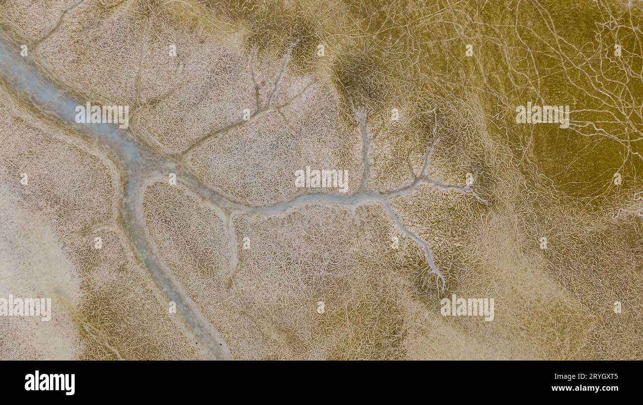 The effect of the lake drying up in the summer season of extreme ...