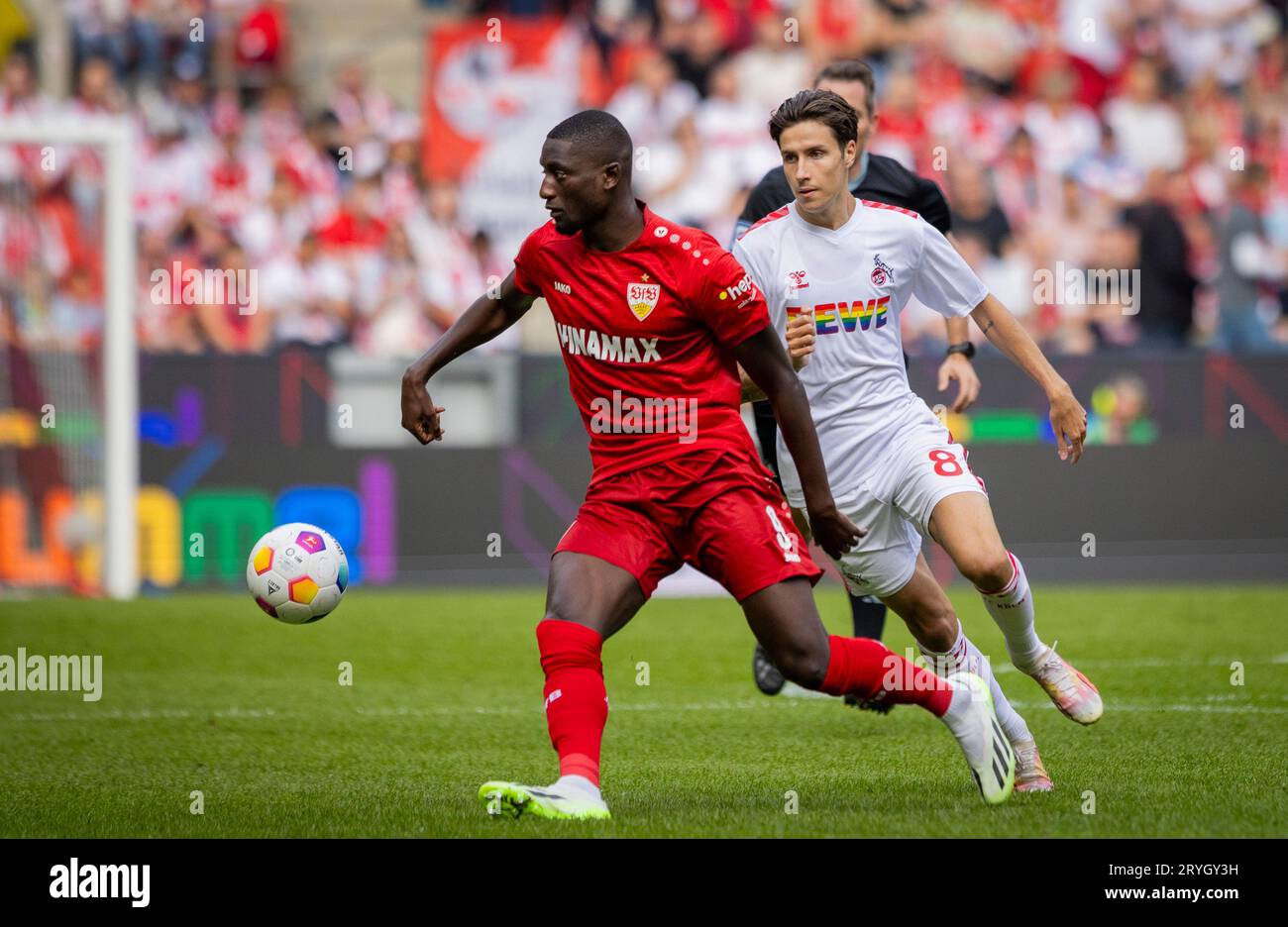 Cologne, Germany. 30th Sep 2023. Serhou Guirassy (VfB) Denis Huseinbasic (Köln) 1. FC Köln - VfB ...