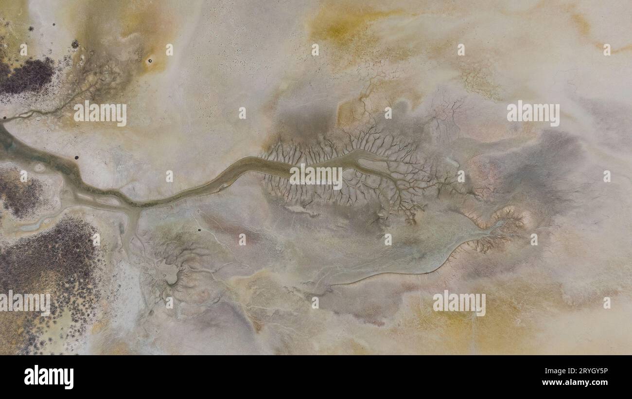 The effect of the lake drying up in the summer season of extreme ...