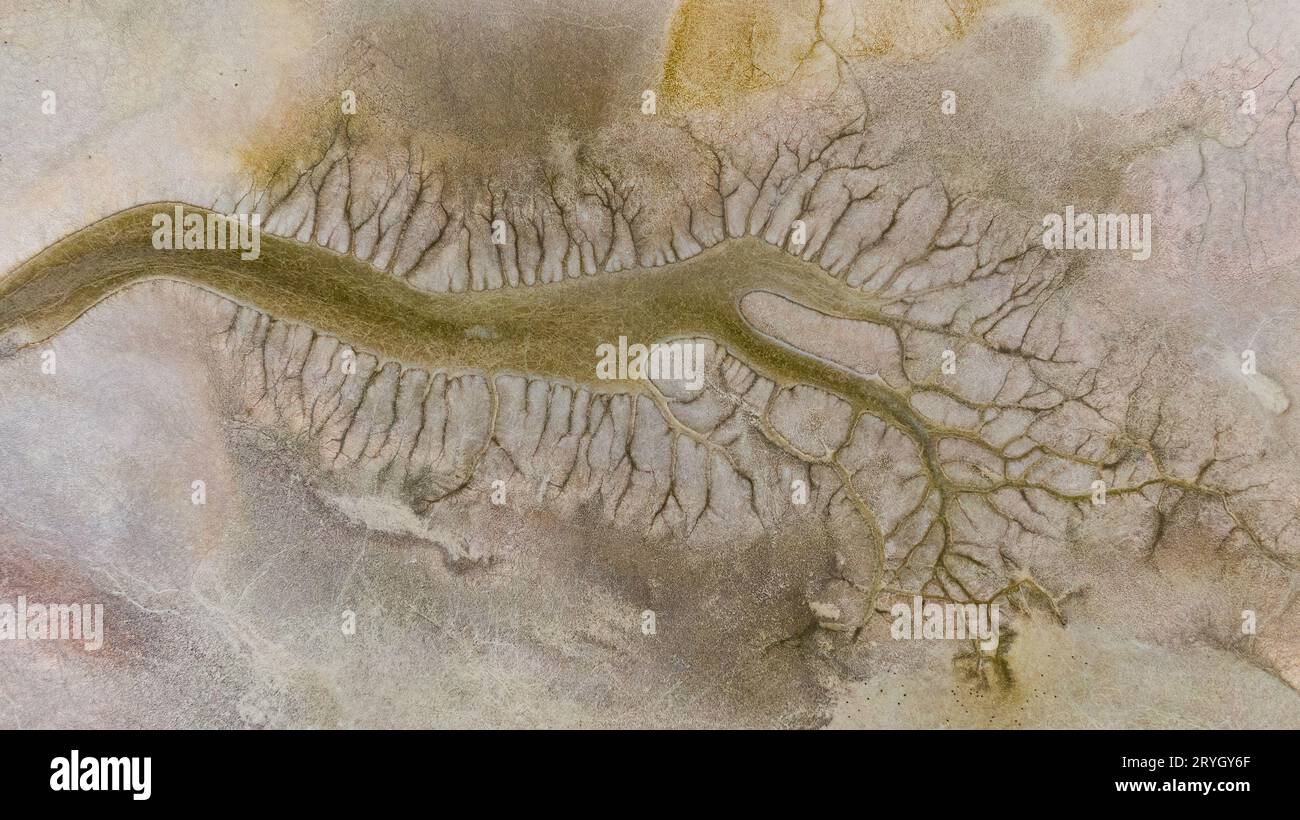 The effect of the lake drying up in the summer season of extreme ...