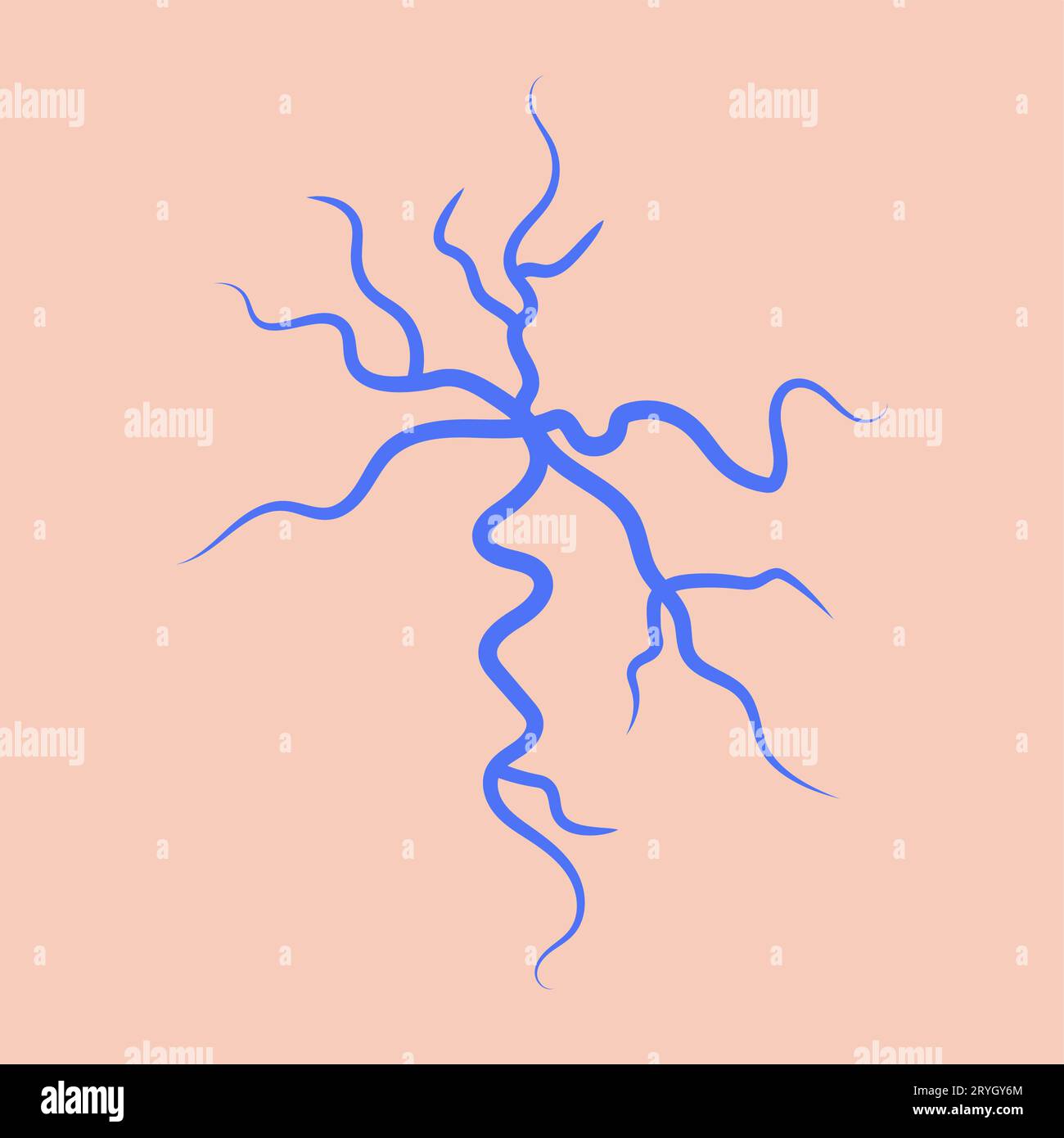 Blue spider veins anatomy. Varicose disease concept. Human ...