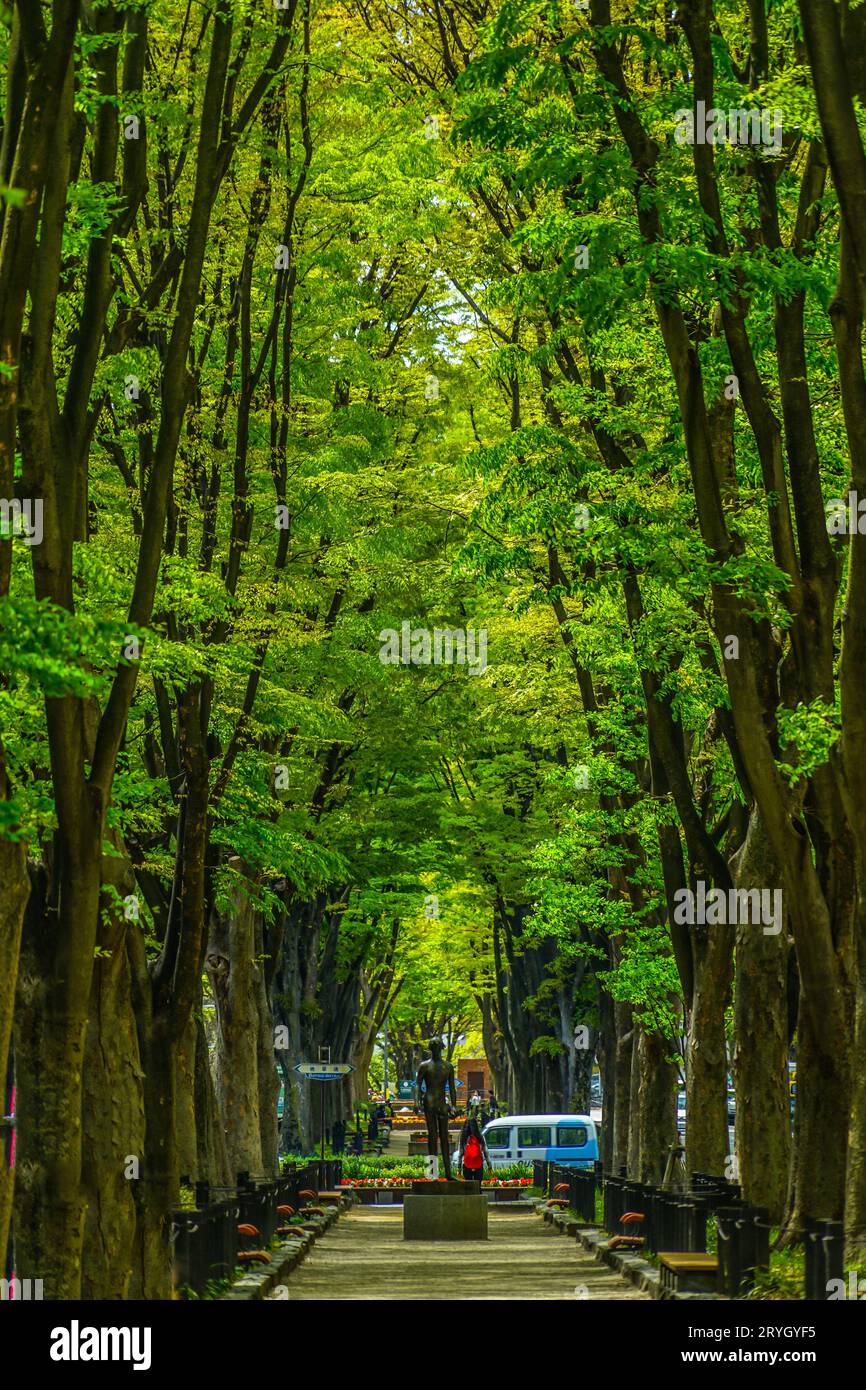Sendai street hi-res stock photography and images - Alamy