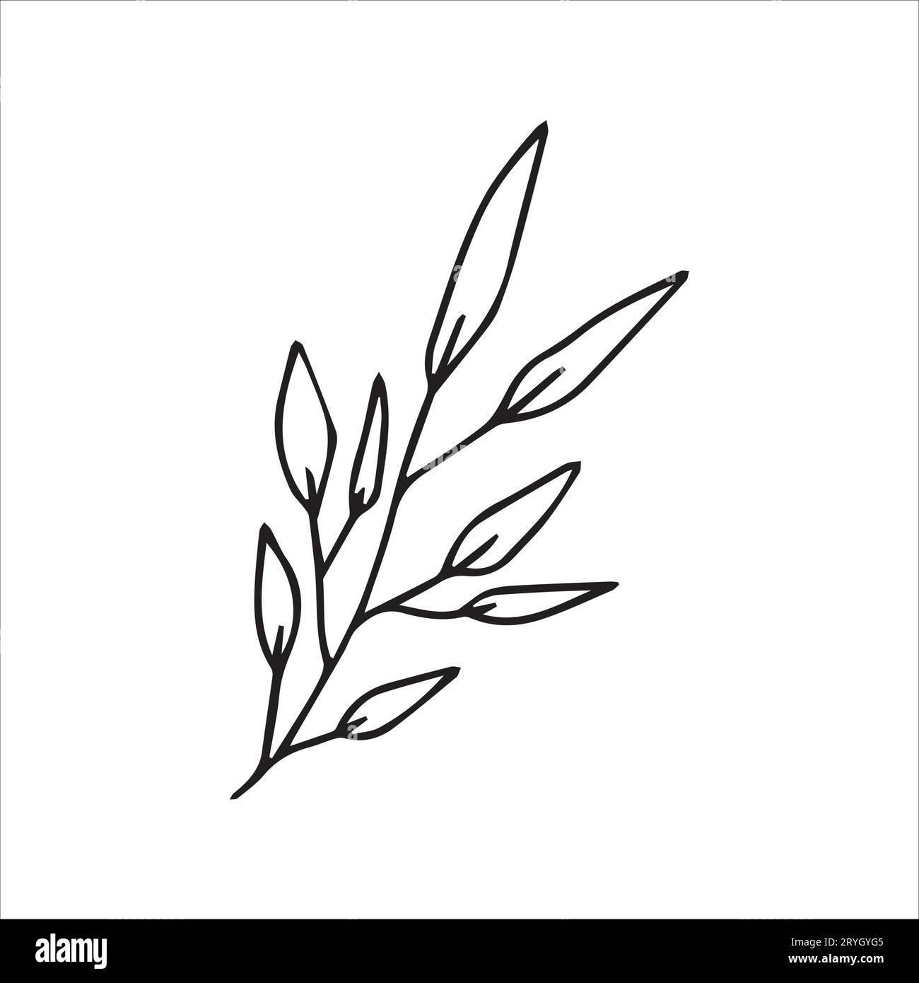 Cute doodle style twig. Vector illustration for postcard decor.Vector ...