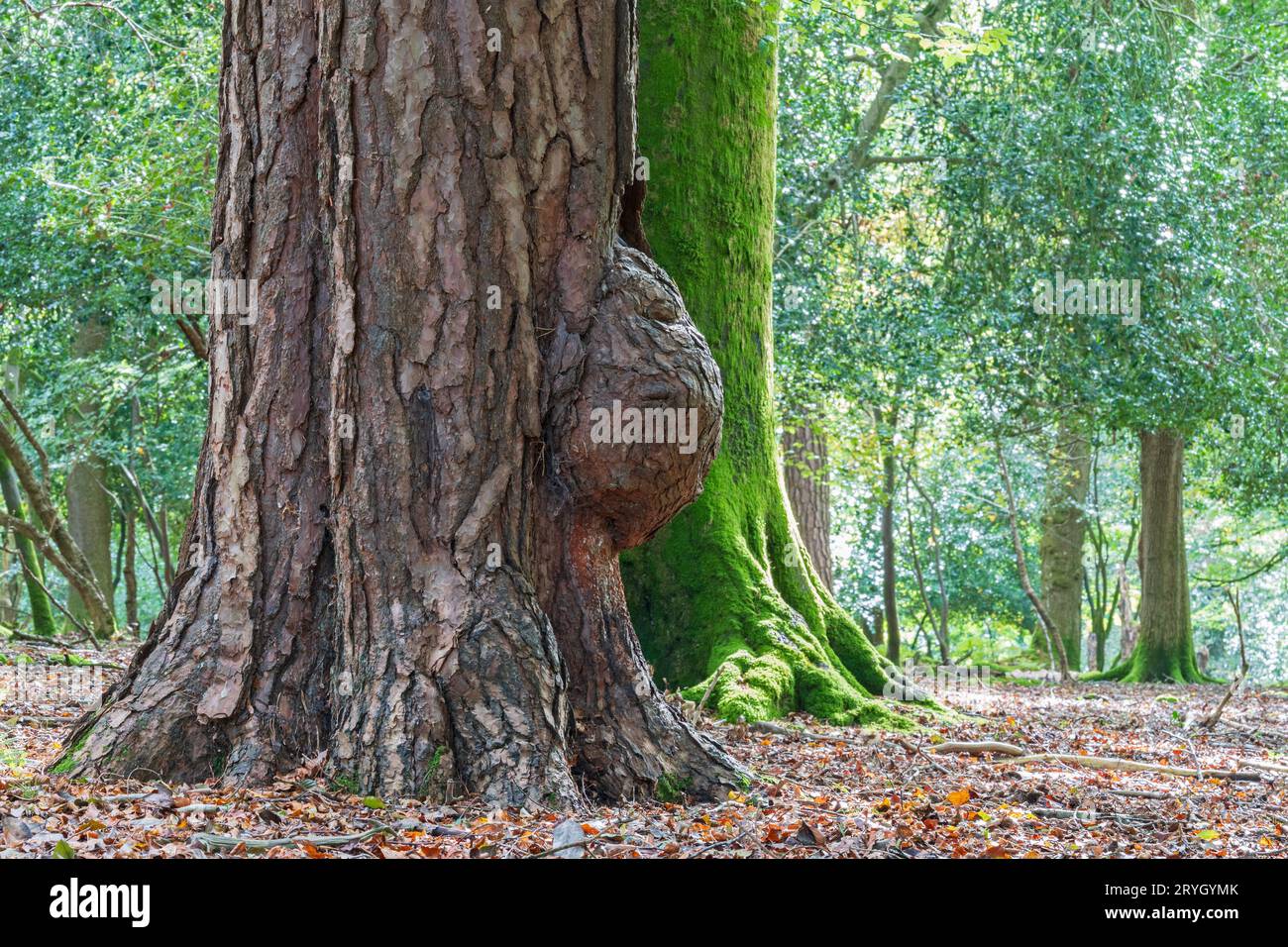 Ober water uk hi-res stock photography and images - Alamy