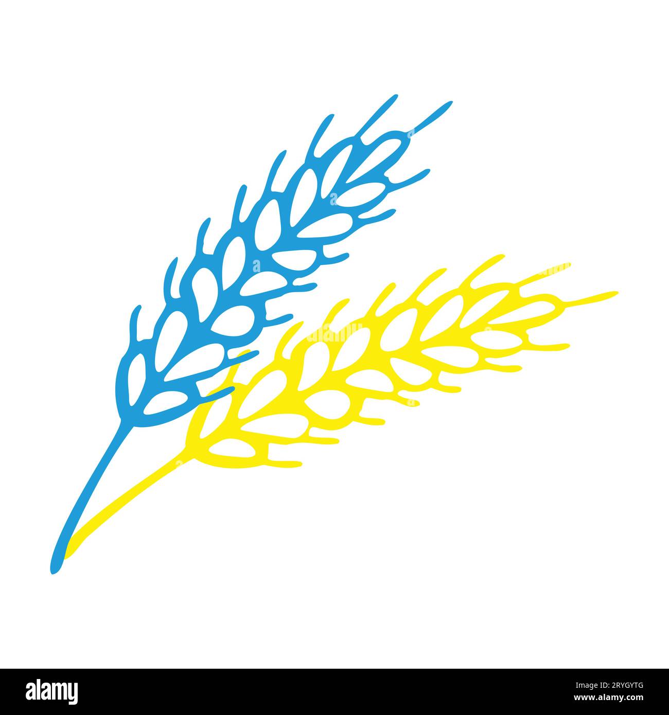 Blue and yellow Spikelet of wheat in doodle style. Simple black and ...