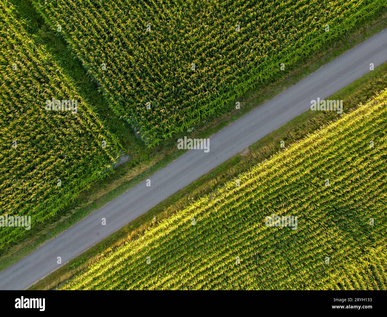 Panoramic top view parts of different agricultural fields.Yellow-green ...