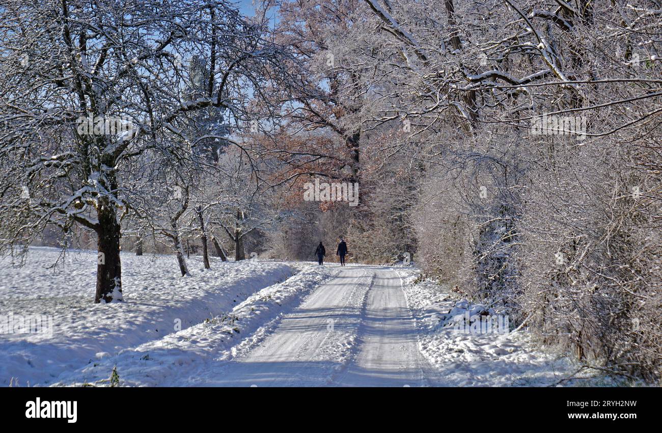 Walk landscape hi-res stock photography and images - Alamy