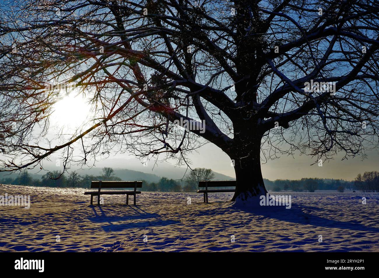 Gegenlilcht hi-res stock photography and images - Alamy