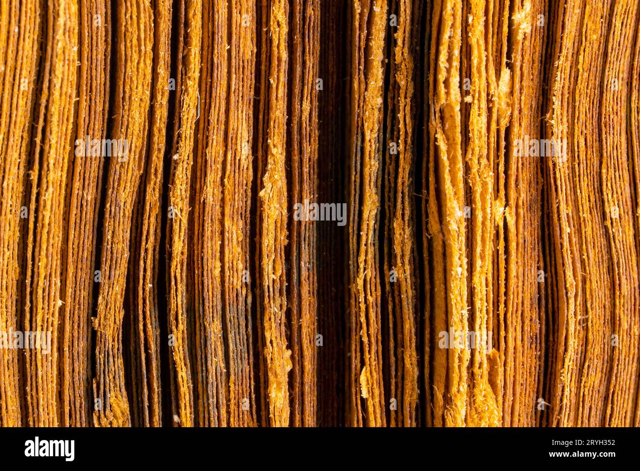 Closeup of old book pages in vertical format Stock Photo - Alamy