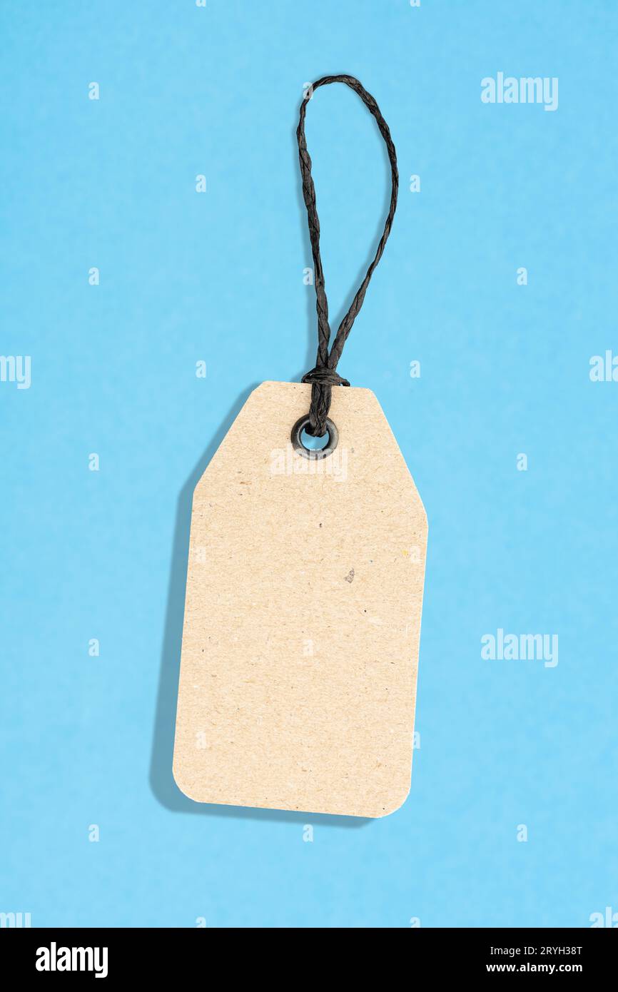 Blank cardboard price tag isolated on blue background. Template mock up ...