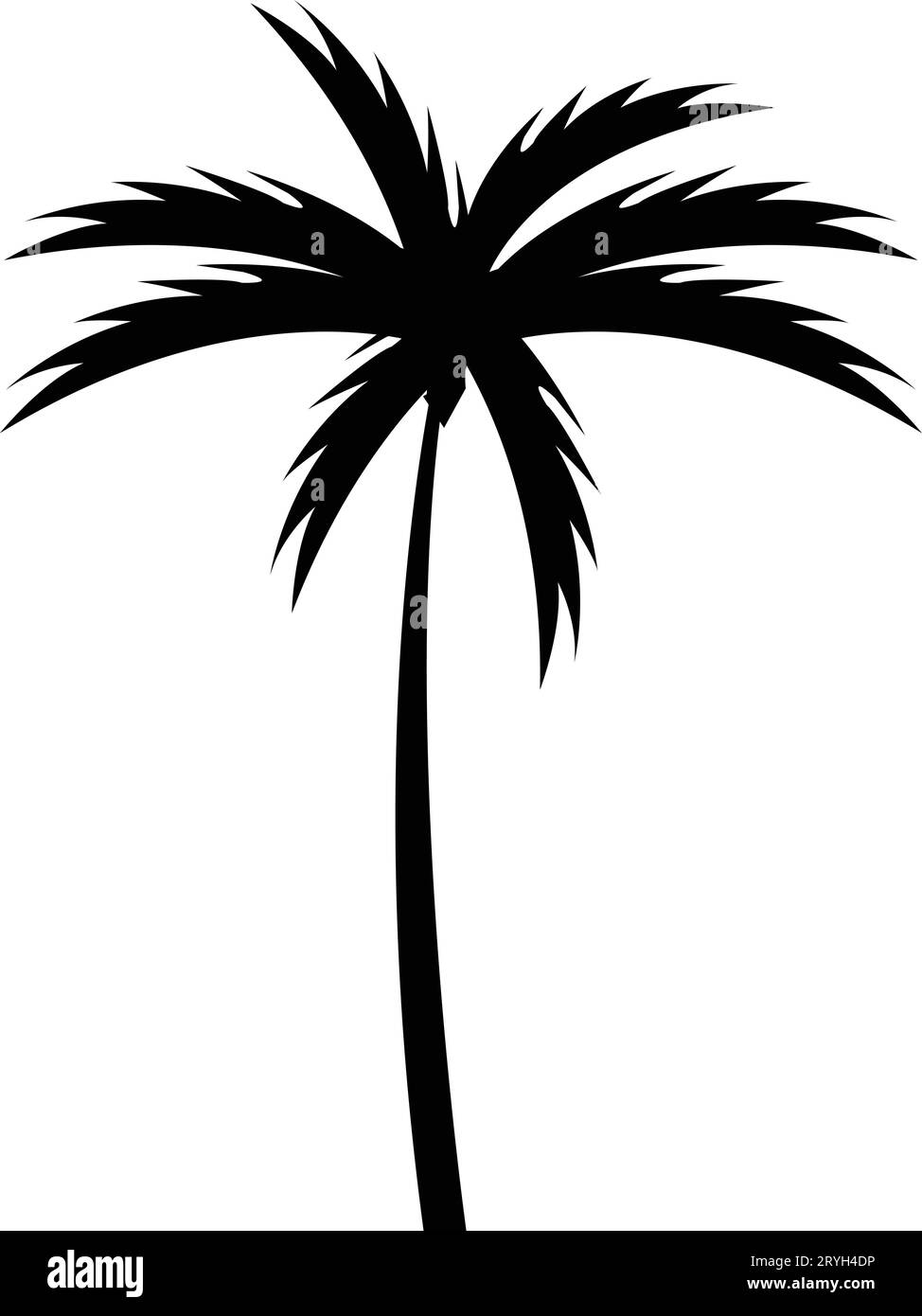 Tropical palm tree and leaf silhouette. Black palm tree. Design of palm ...