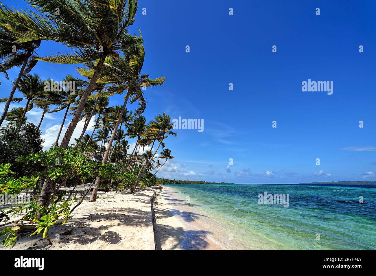 Simply beautiful beautiful young hi-res stock photography and images ...