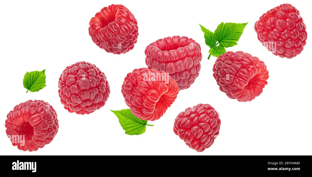Falling raspberries isolated on white background Stock Photo - Alamy