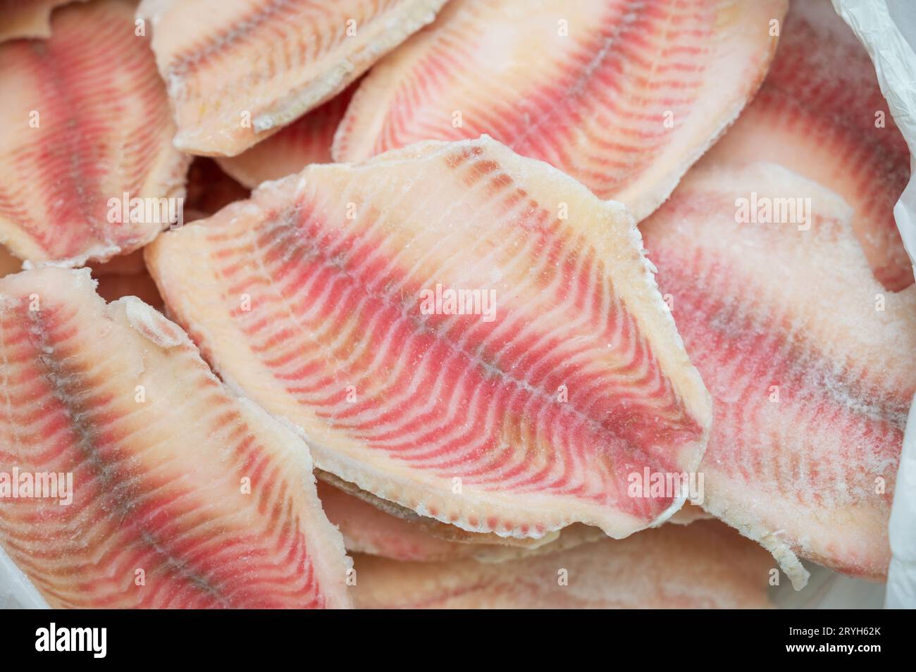 Frozen tilapia fish fillets hi-res stock photography and images - Alamy