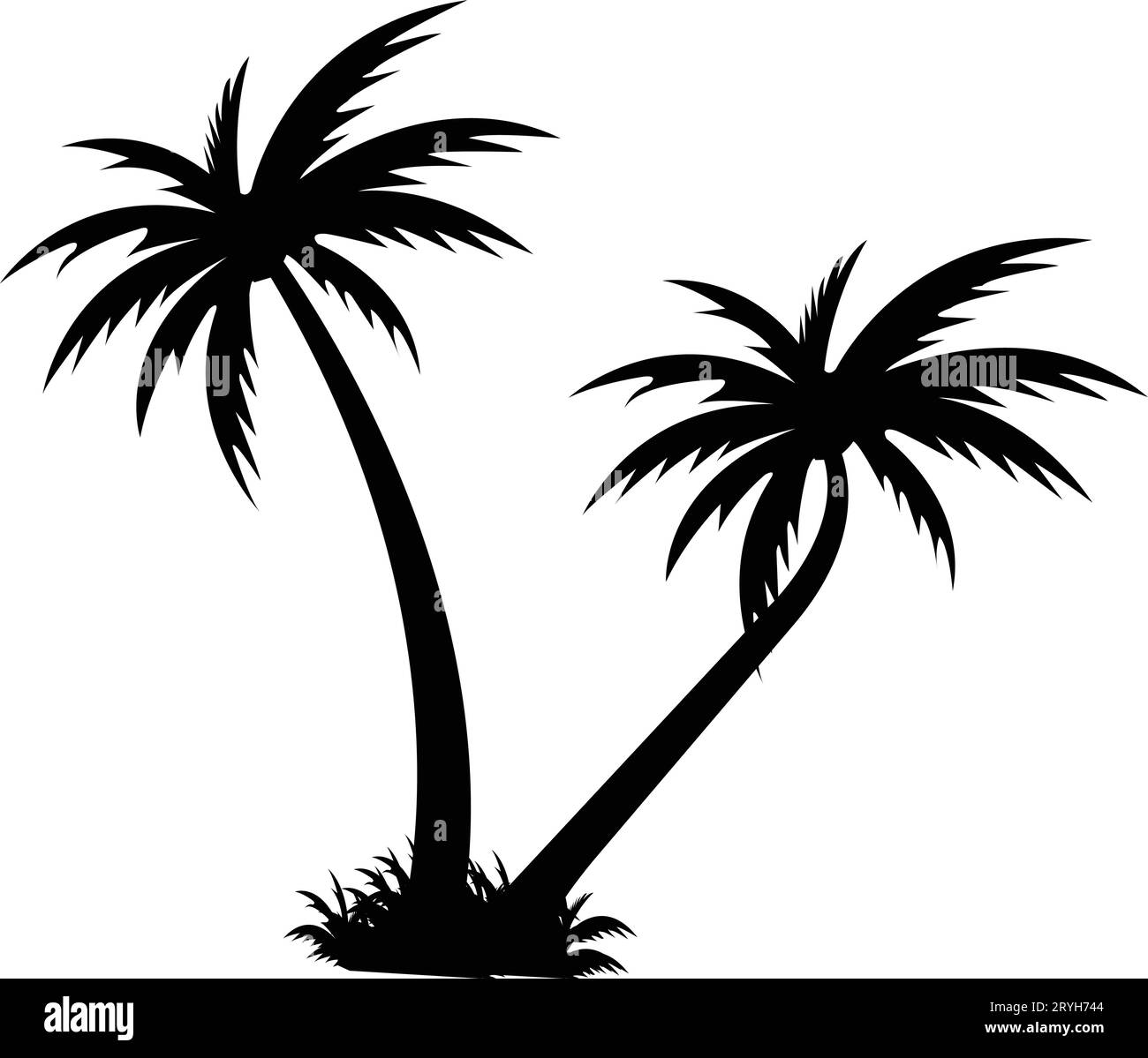 Tropical palm tree and leaf silhouette. Black palm tree. Design of palm ...
