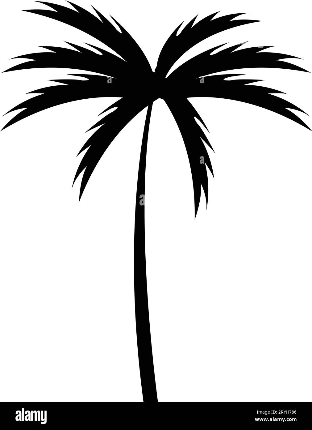 Tropical palm tree and leaf silhouette. Black palm tree. Design of palm ...